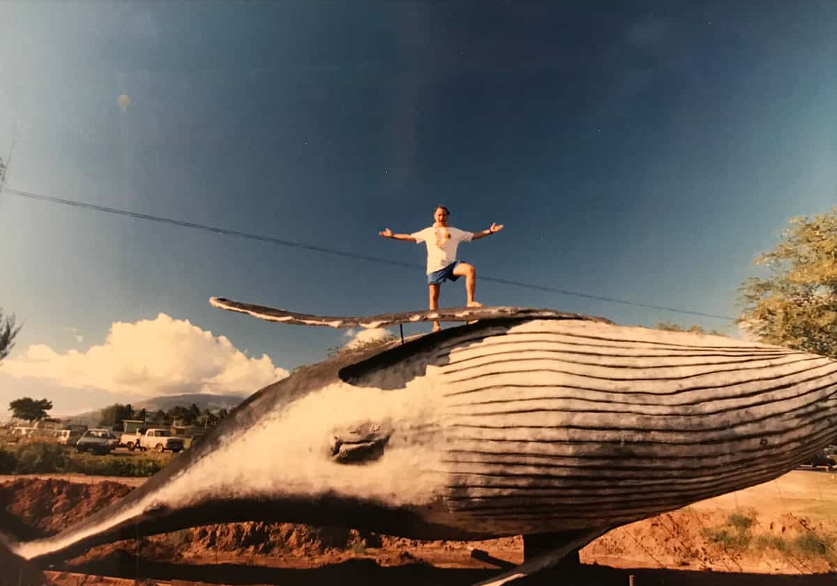The Art of Elan Vital | Elan's Life Size Whale Sculpture